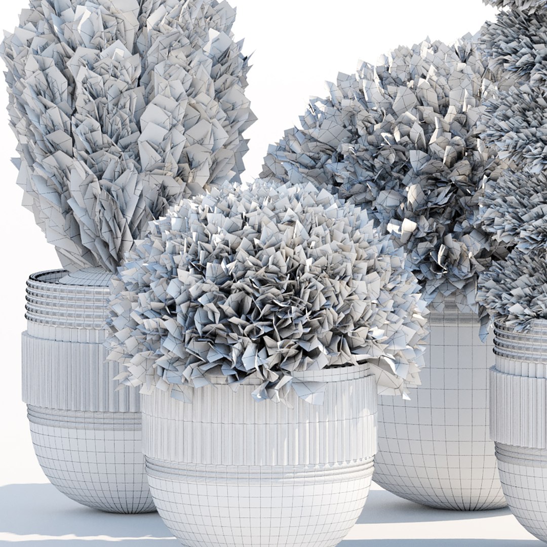 Juniper Cypress Collection Vol 114 3D Model - TurboSquid 1977939