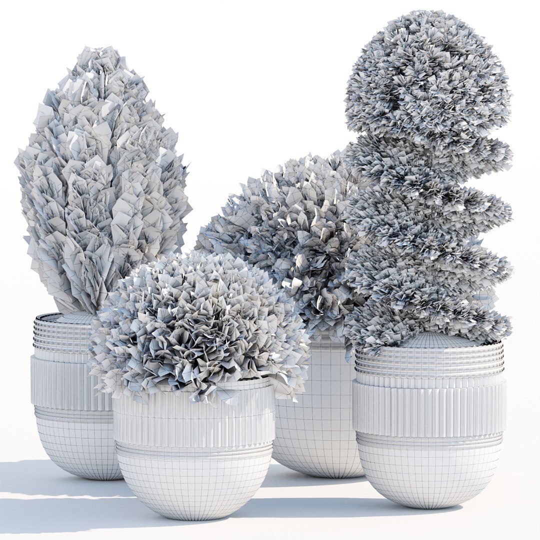 Juniper Cypress Collection Vol 114 3D Model - TurboSquid 1977939