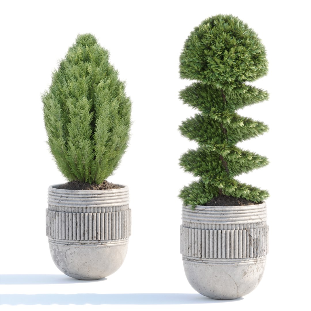 Juniper Cypress Collection Vol 114 3D Model - TurboSquid 1977939