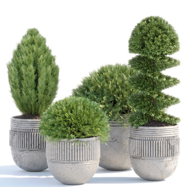 Seasonal Juniper Garden collection vol 143 3D model - TurboSquid 1984751