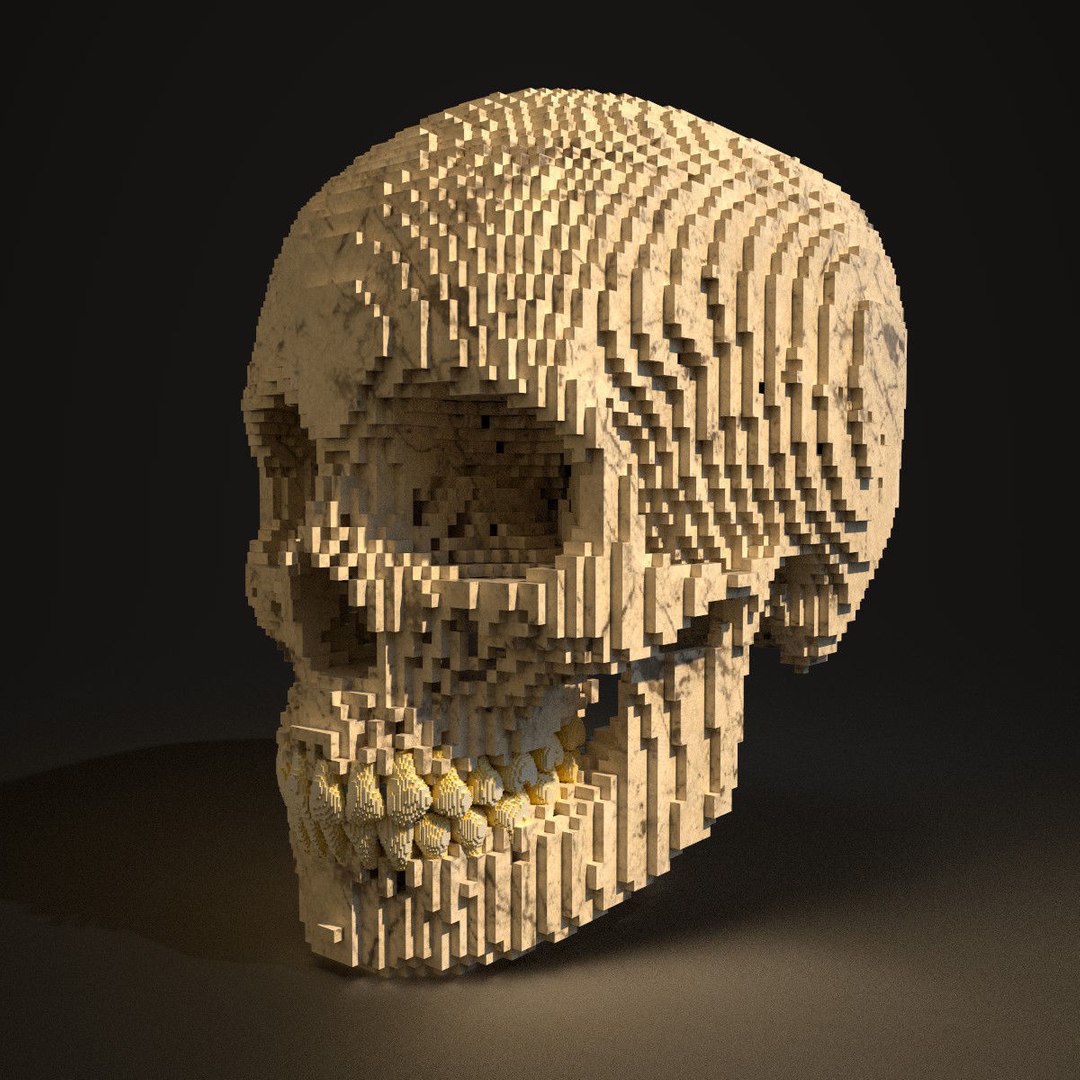 3D Human Skull Model - TurboSquid 2319518