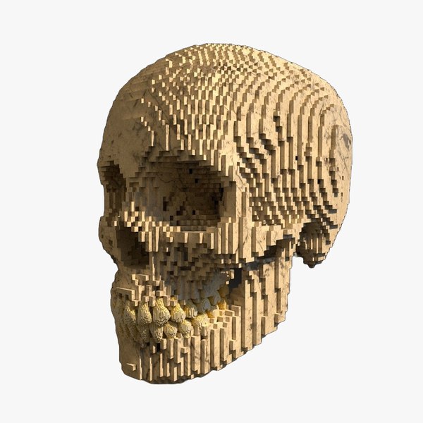 modelo 3d Cráneo humano - TurboSquid 2319518