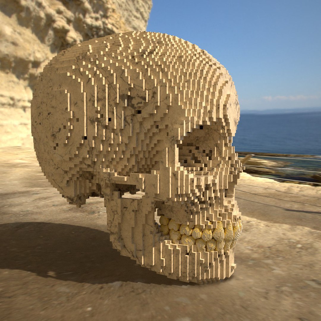 3d Human Skull Model Turbosquid 2319518
