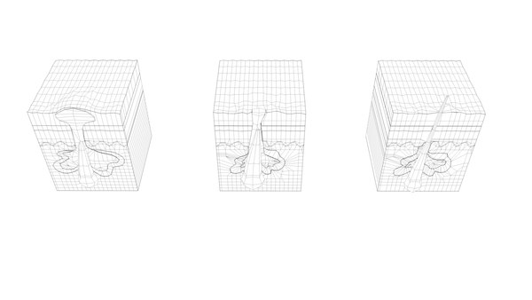 3D human skin hair - TurboSquid 1507084