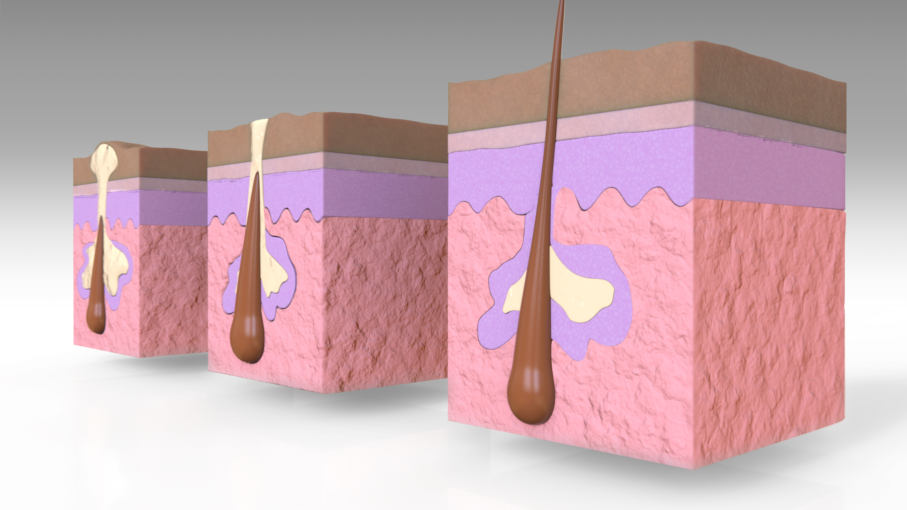 3D human skin hair - TurboSquid 1507084
