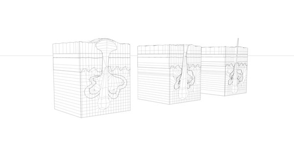 3D human skin hair - TurboSquid 1507084