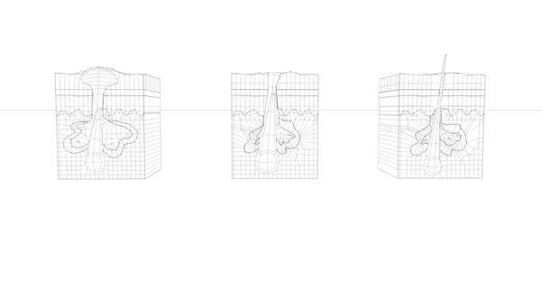 3D human skin hair - TurboSquid 1507084
