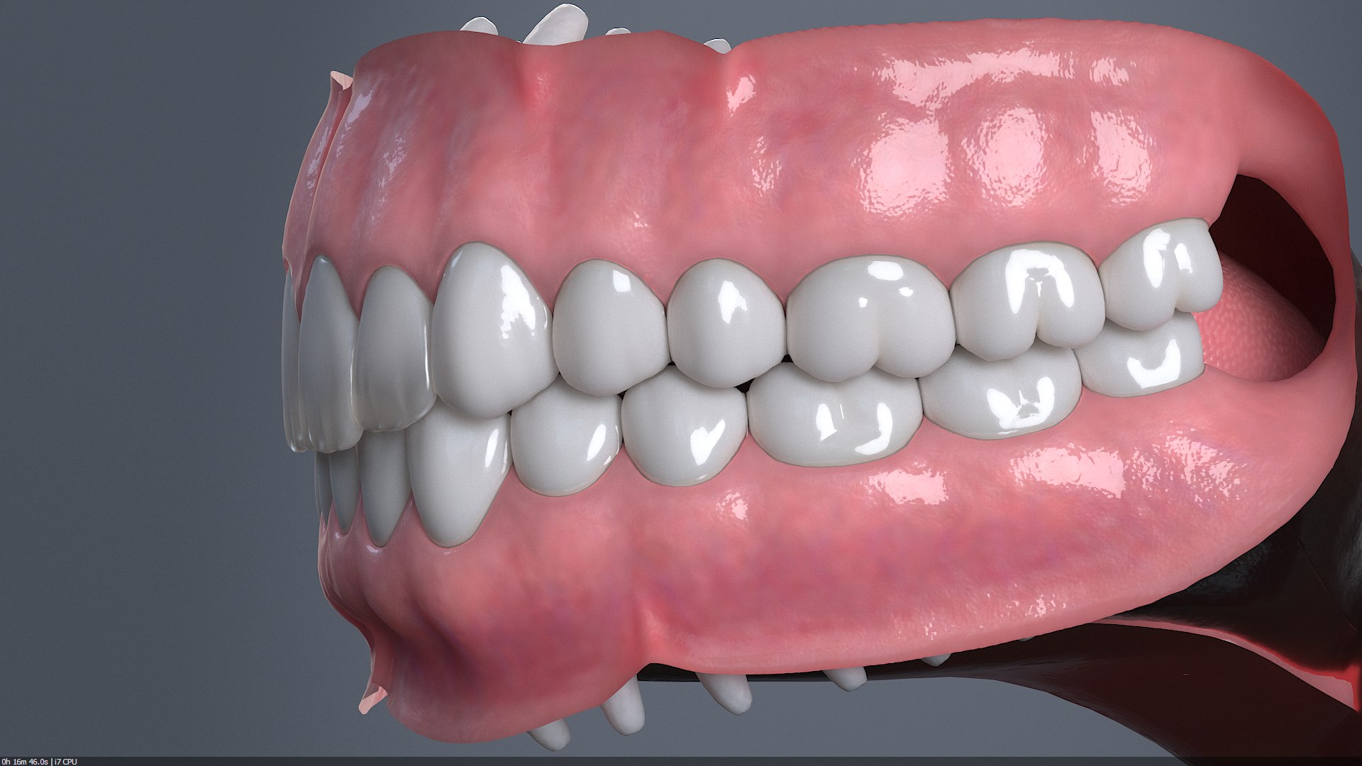 Teeth With Head 3D Model - TurboSquid 2345191