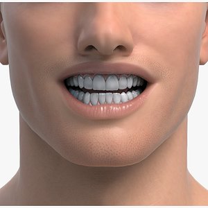 3D Head Models - Browse & Download Formats - TurboSquid