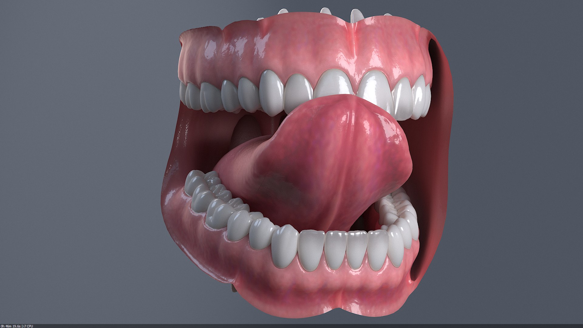 Teeth With Head 3D Model - TurboSquid 2345191