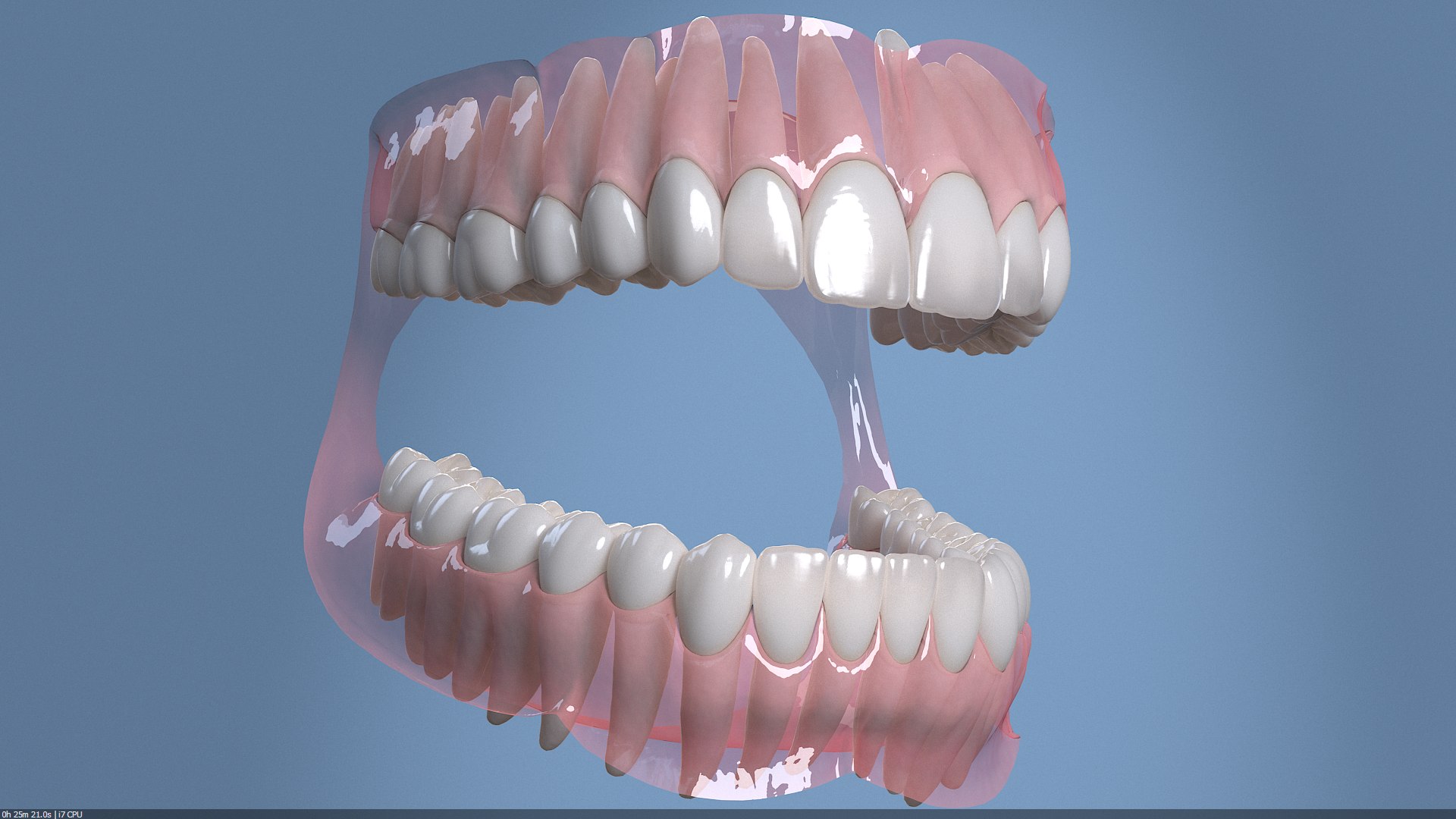 Teeth With Head 3D Model - TurboSquid 2345191