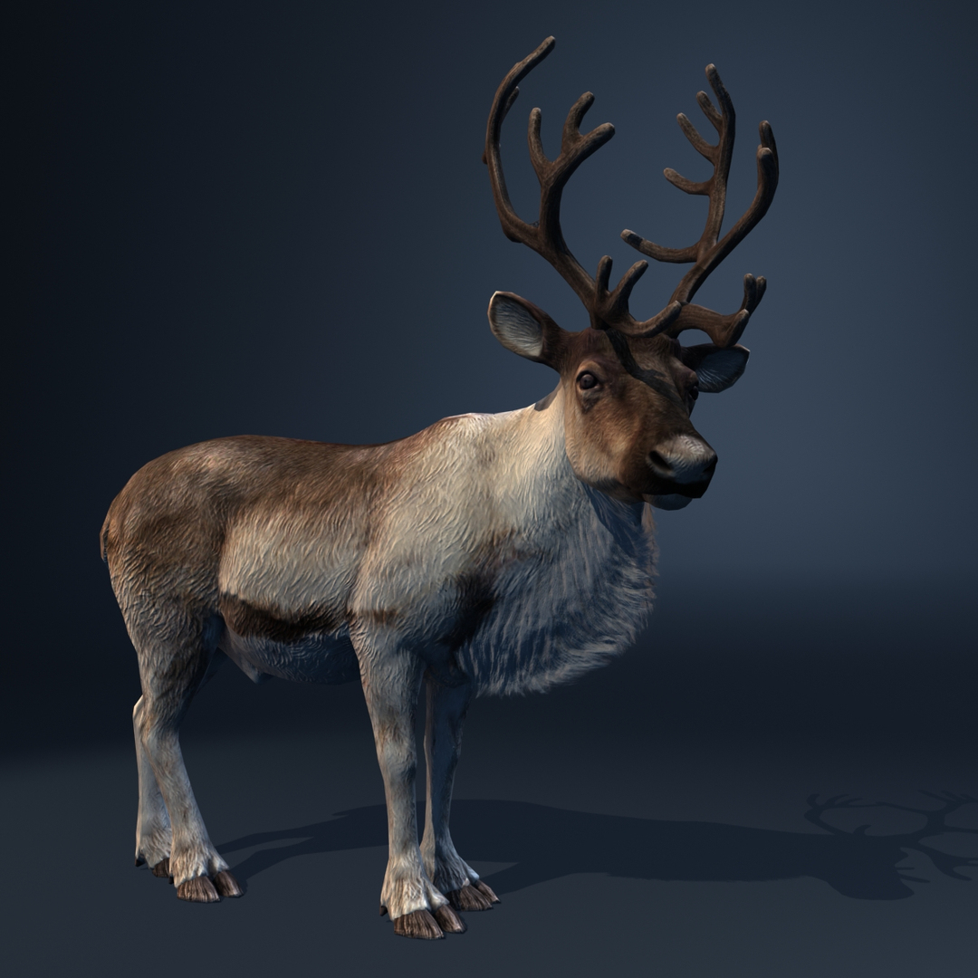 rigged reindeer deer 3d model