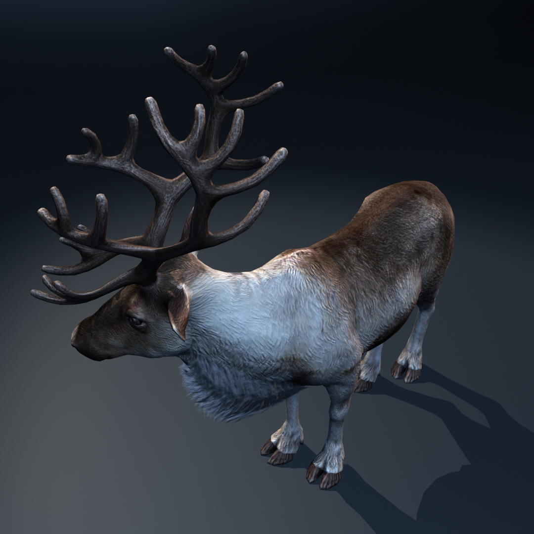 rigged reindeer deer 3d model