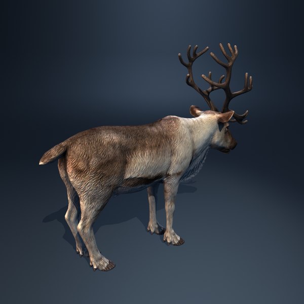 rigged reindeer deer 3d model