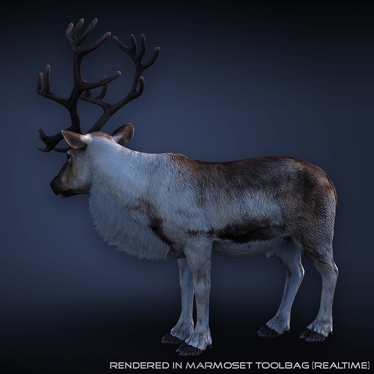 rigged reindeer deer 3d model