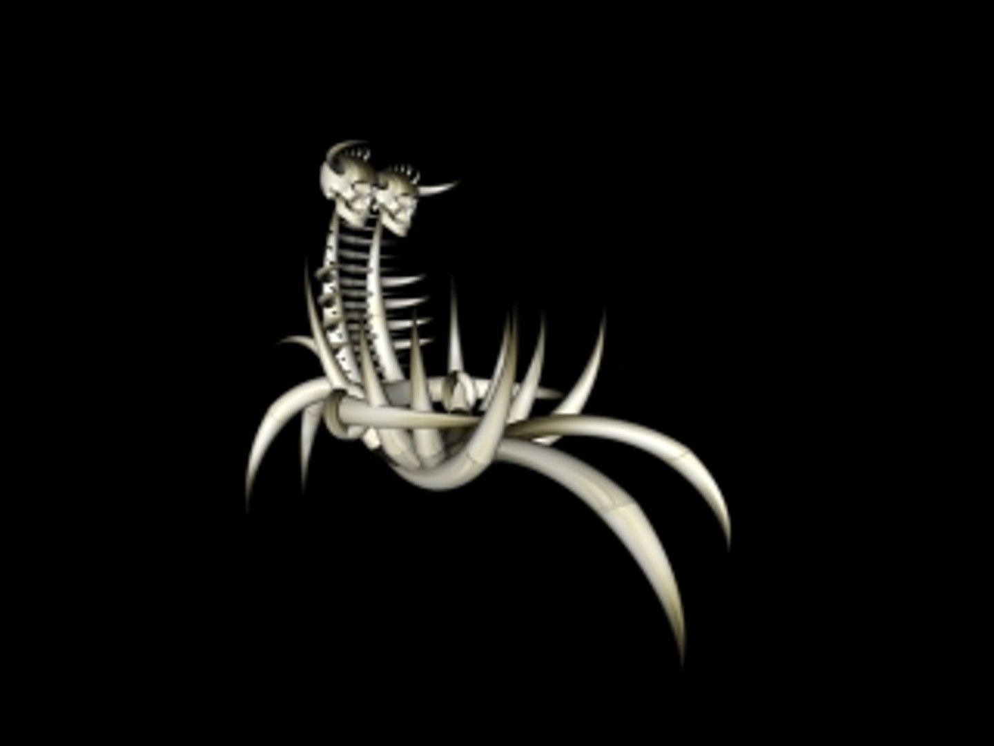 Chair Bones 3d Model