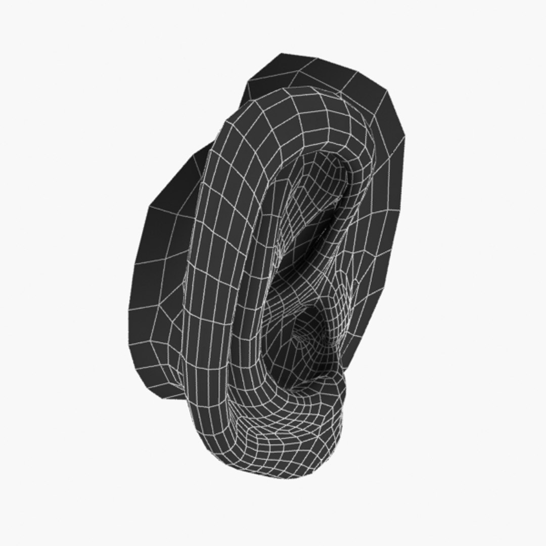 3d Model Ear