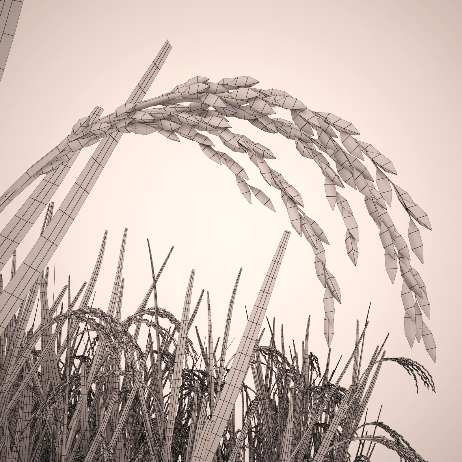 3ds max oryza asian rice fields