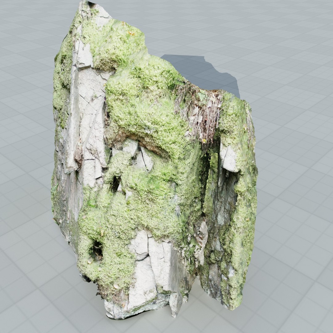 Scan Rock Face 3d Model