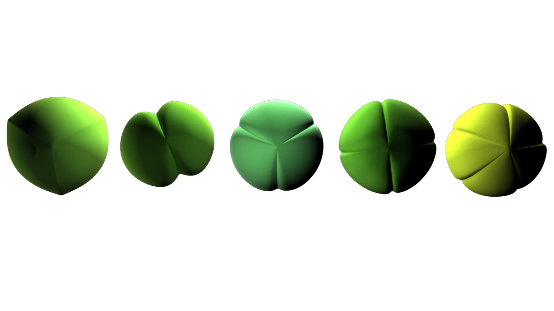 3d Model Number Locules Overy