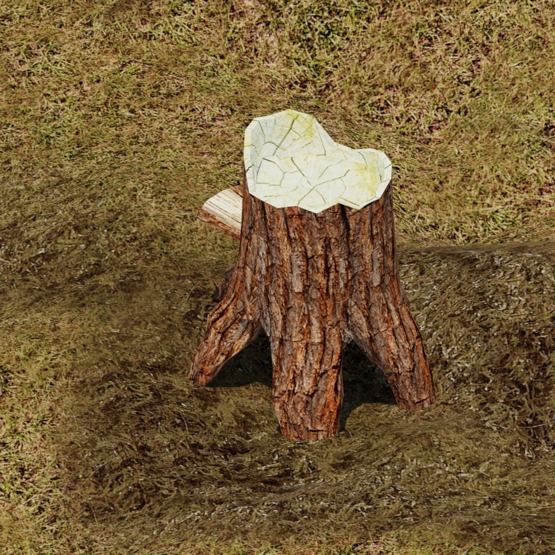 3d Stump Model