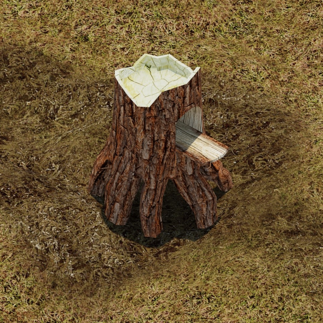 3d Stump Model