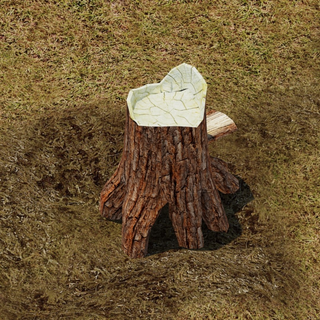3d Stump Model