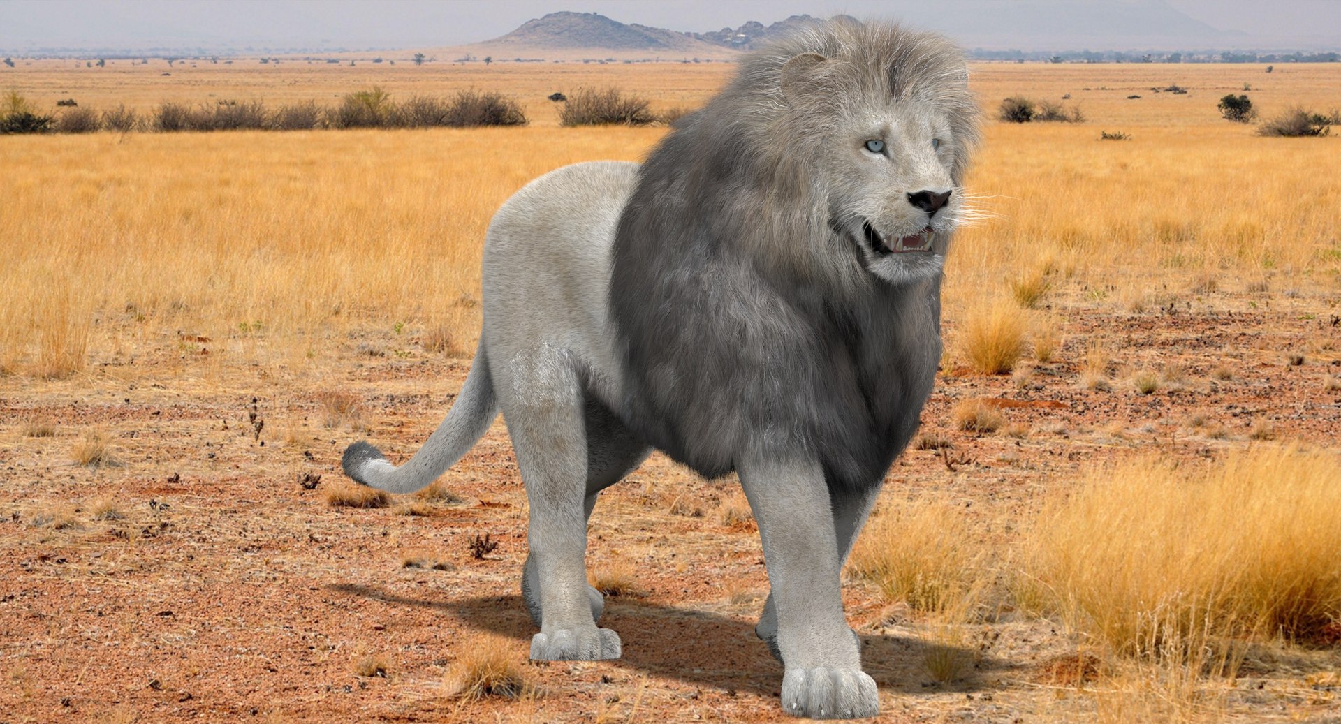 Lion White Fur Mane 3d Model