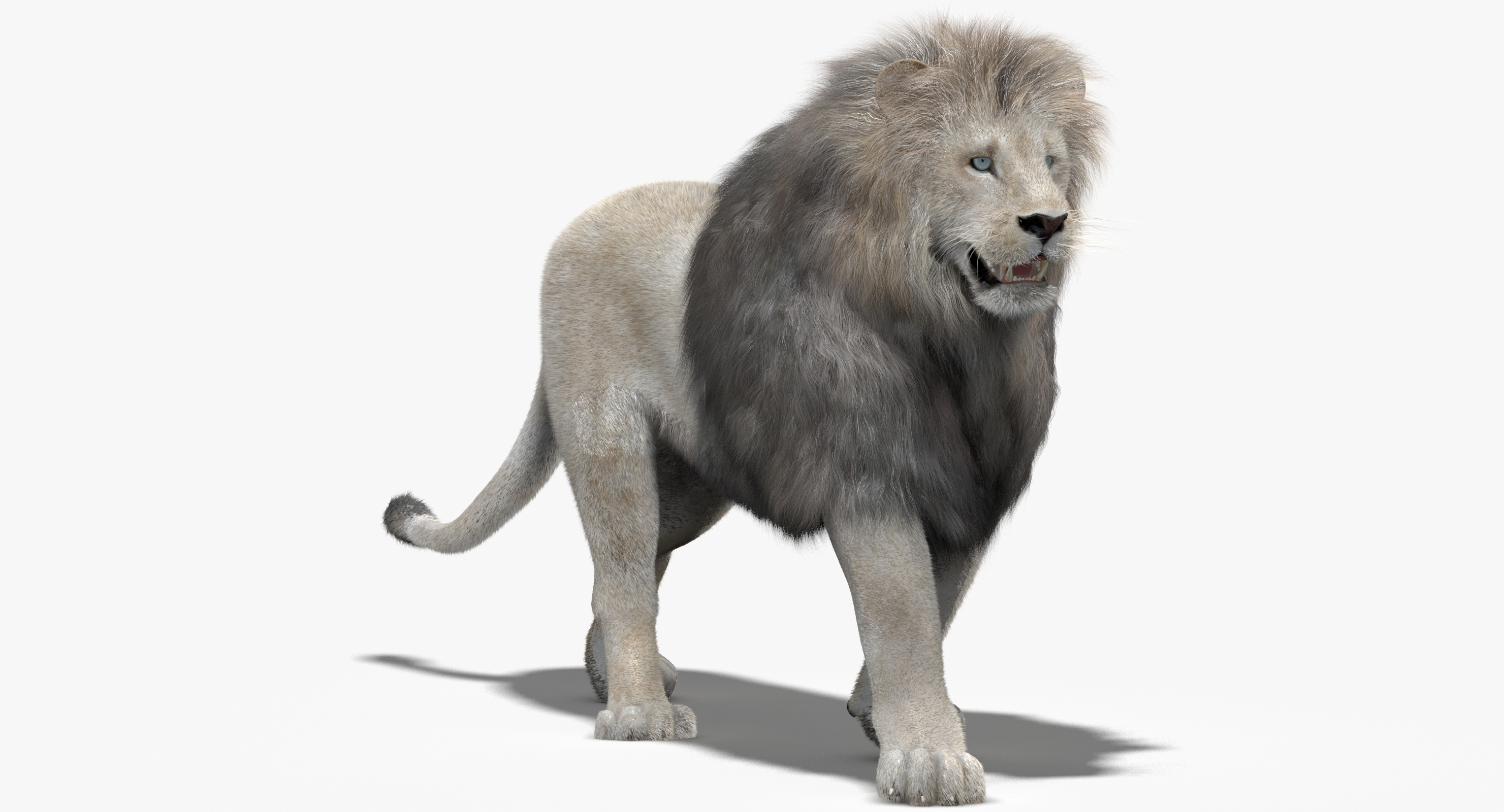 lion white fur mane 3d model