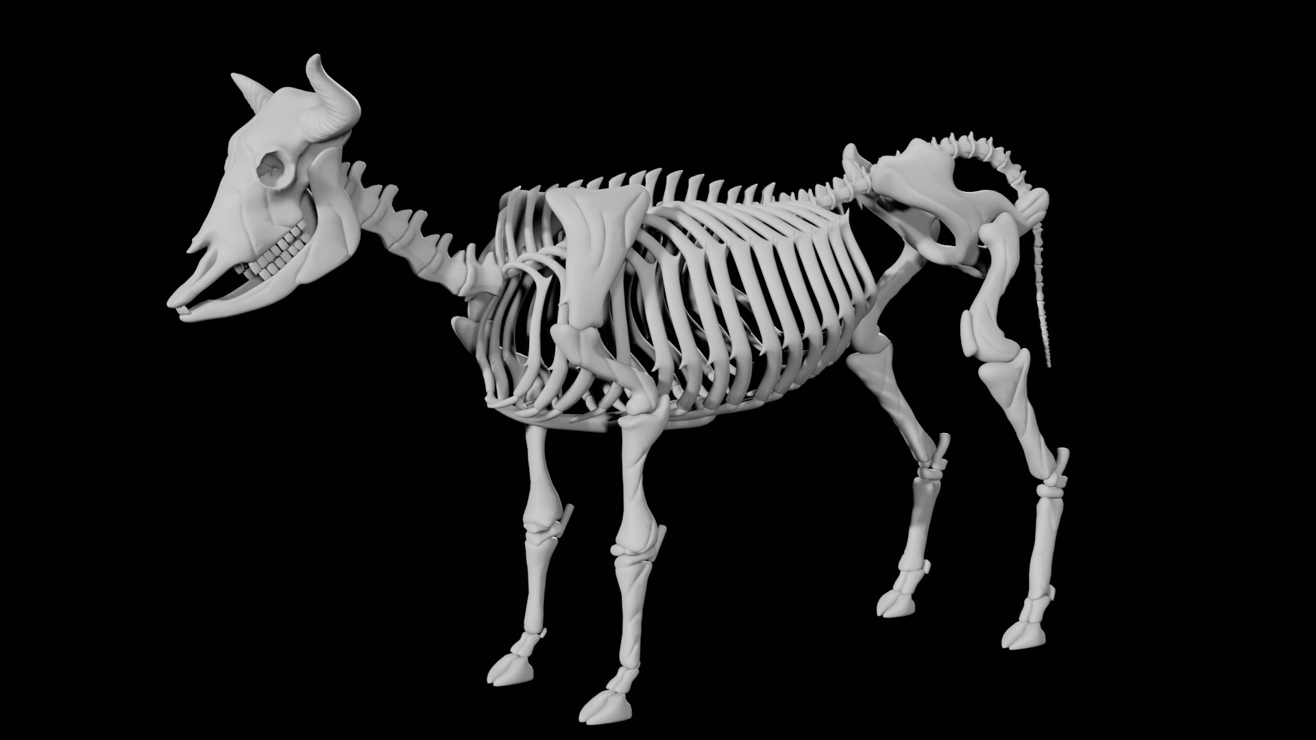 3D Model Cow Skeleton - TurboSquid 1840519