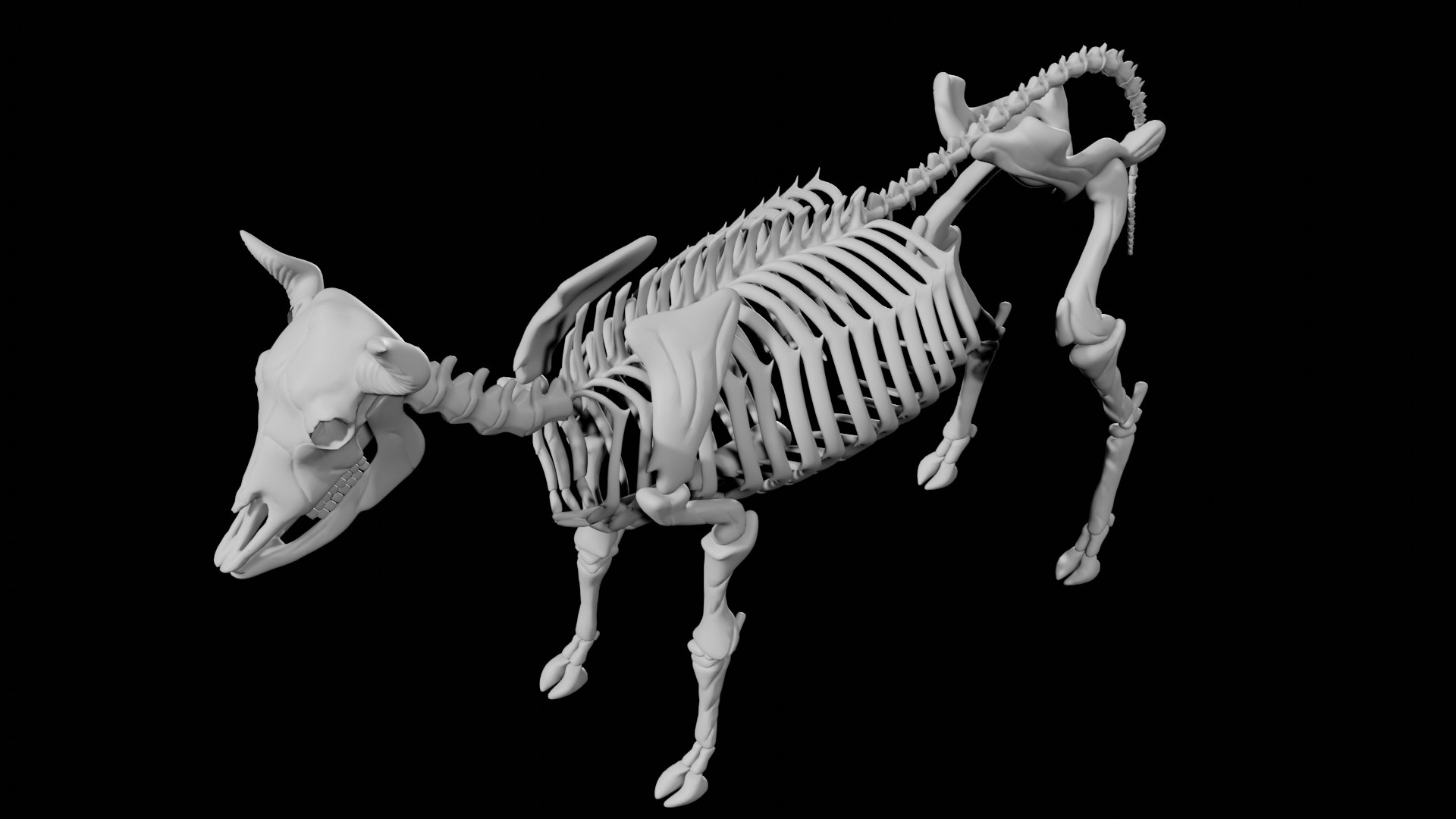 3D Model Cow Skeleton - TurboSquid 1840519