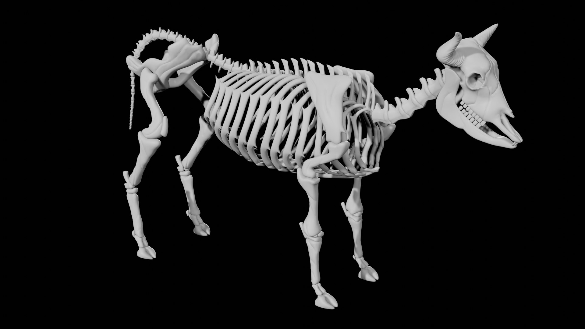3D Model Cow Skeleton - TurboSquid 1840519