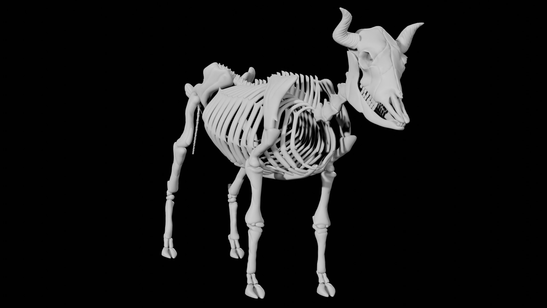 3D Model Cow Skeleton - TurboSquid 1840519