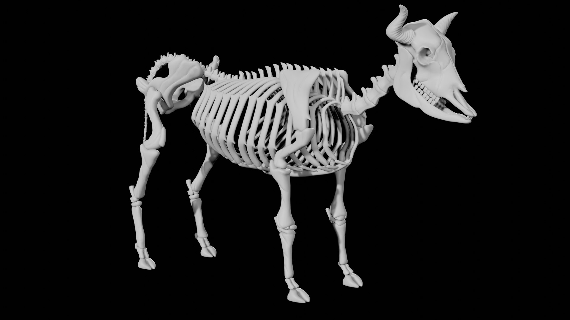 3D Model Cow Skeleton - TurboSquid 1840519