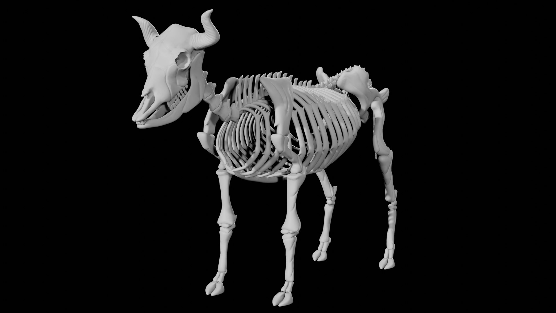 3D Model Cow Skeleton - TurboSquid 1840519