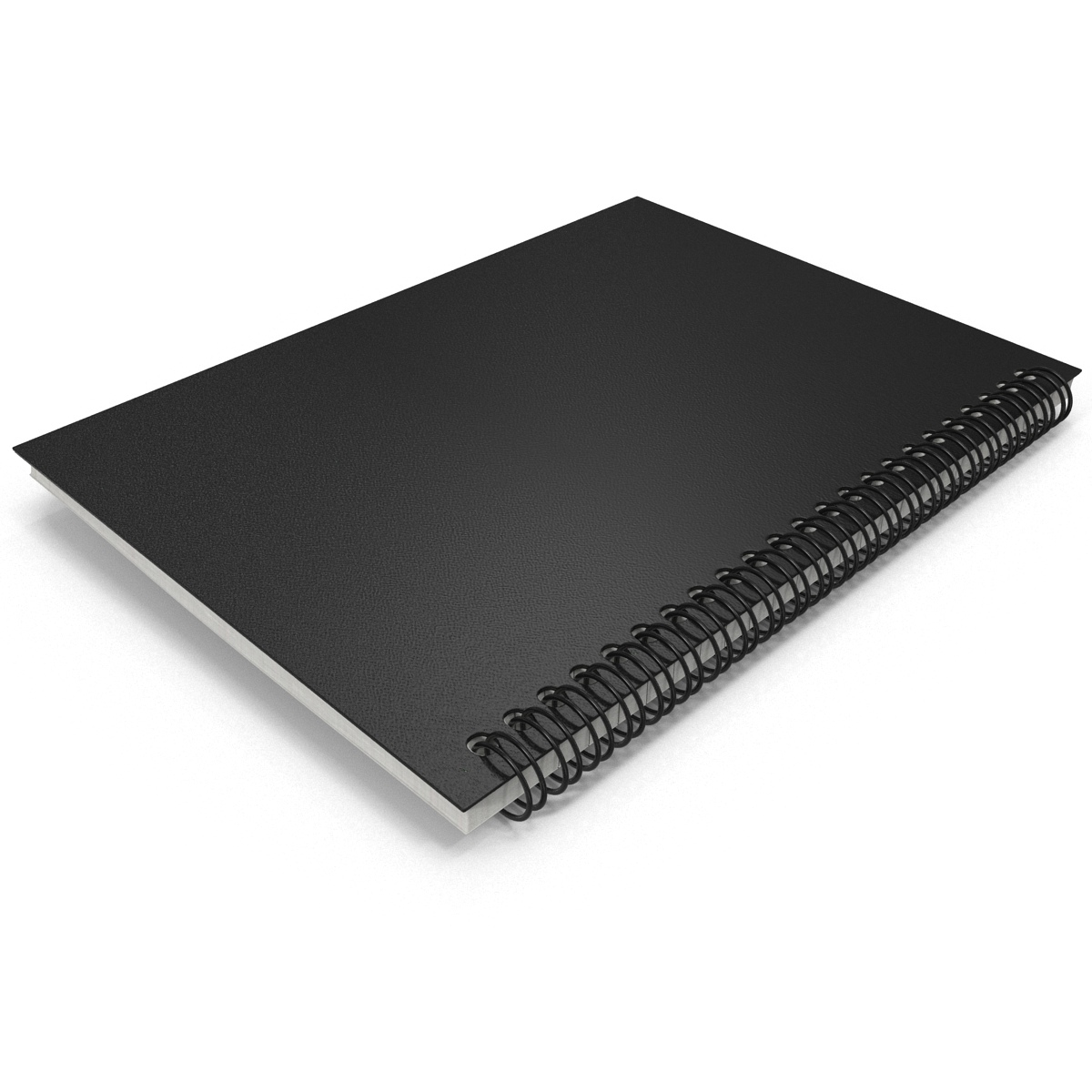 3ds notebook 2