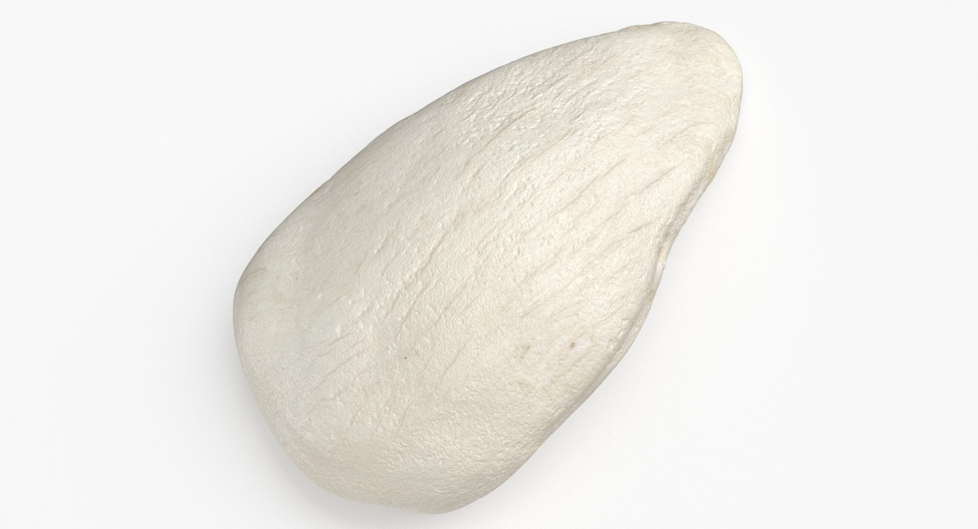 Domestic Cat Patella Kneecap Bone 01 3D model - TurboSquid 1872995