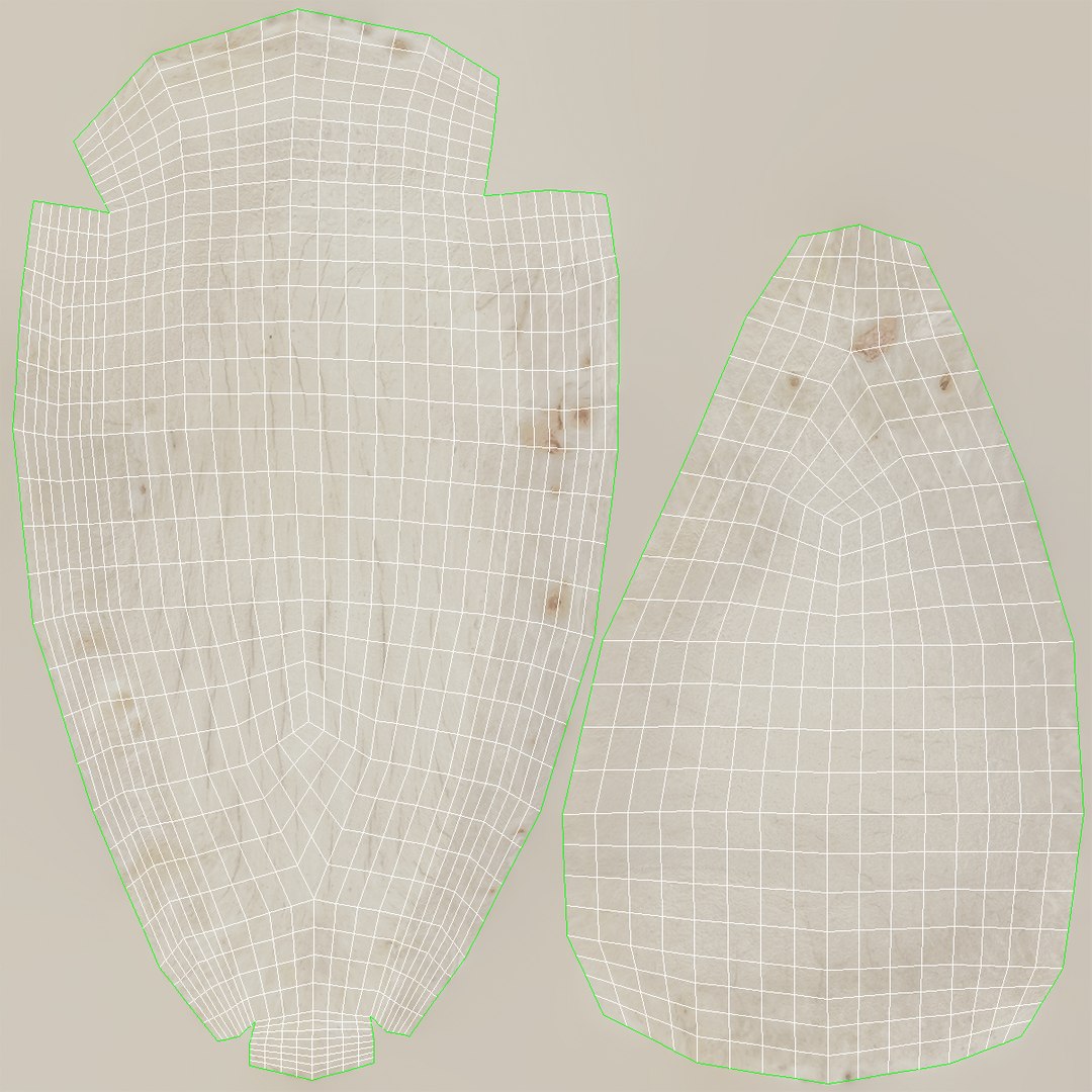 Domestic Cat Patella Kneecap Bone 01 3D Model - TurboSquid 1872995