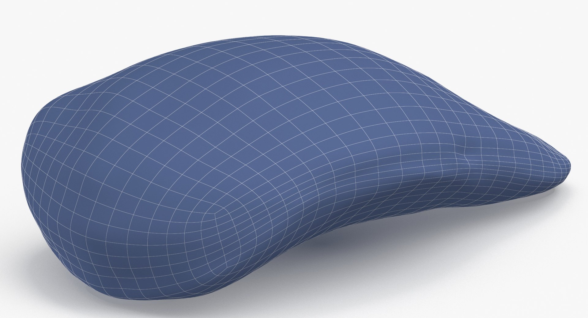 Domestic Cat Patella Kneecap Bone 01 3D Model - TurboSquid 1872995