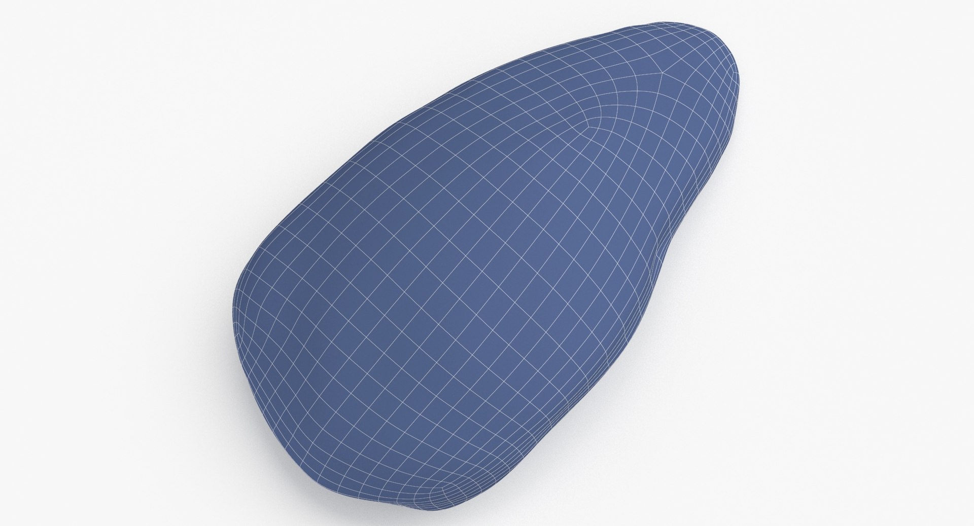 Domestic Cat Patella Kneecap Bone 01 3D Model - TurboSquid 1872995