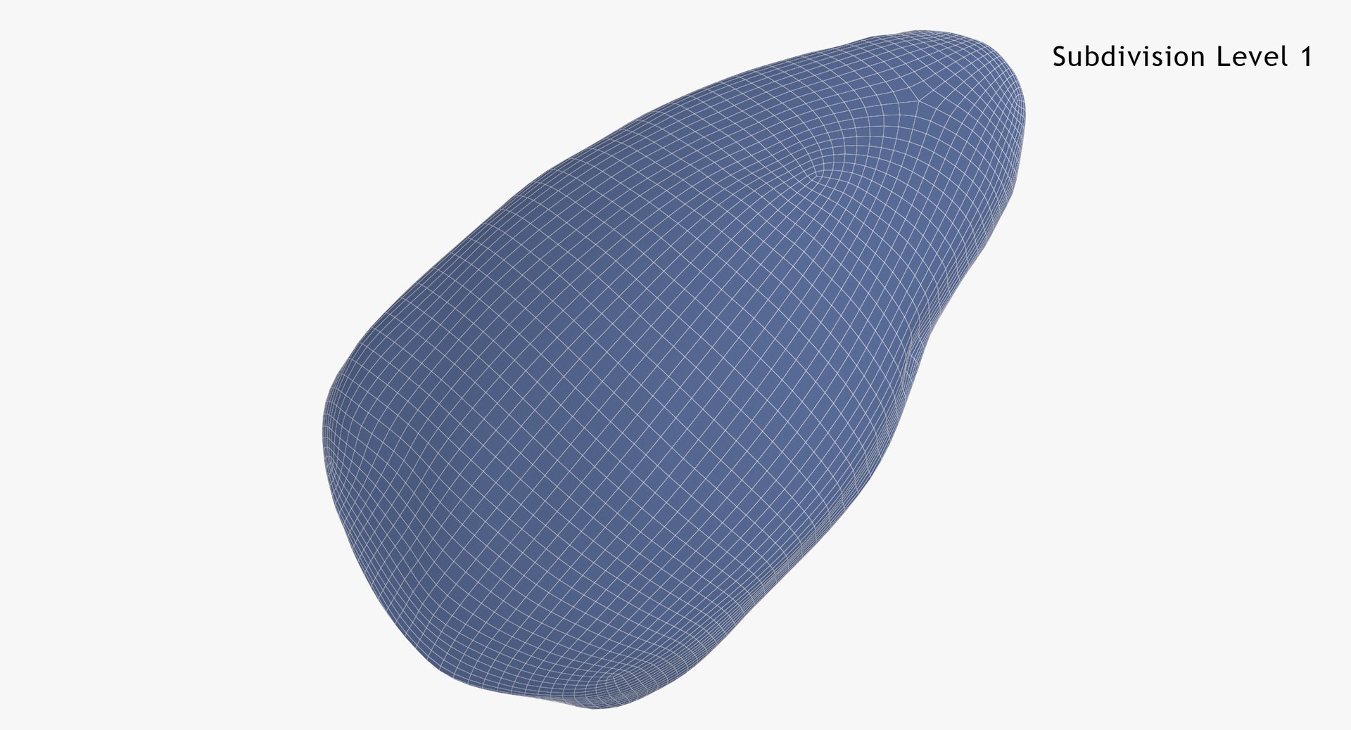 Domestic Cat Patella Kneecap Bone 01 3D Model - TurboSquid 1872995