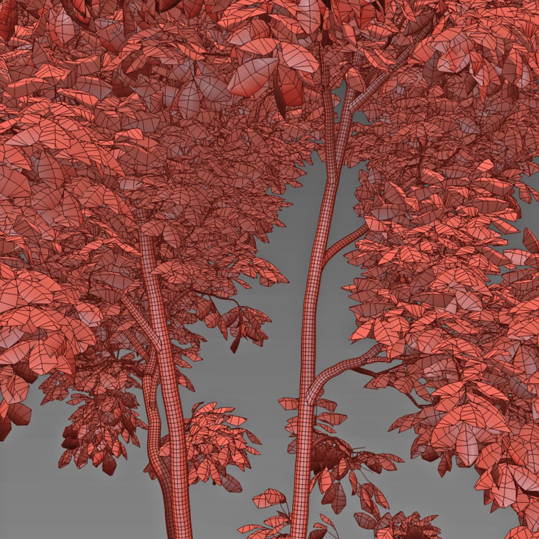3D Summit Green Ash 2 Model - TurboSquid 1956944