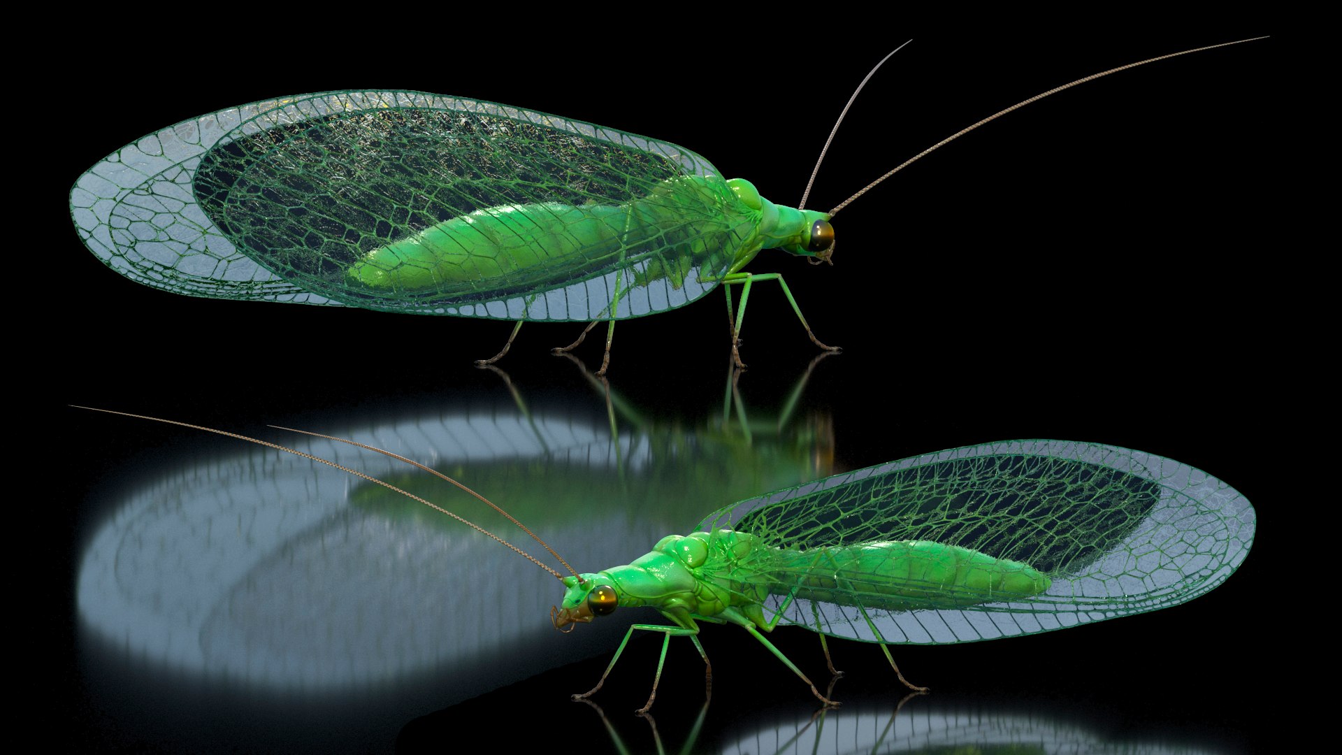 Green Lacewing Rigged For Maya 3D Model - TurboSquid 2182876