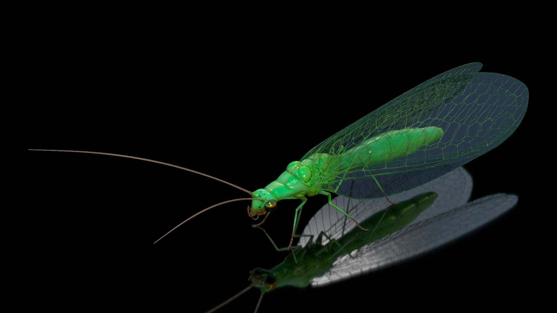 Green Lacewing Rigged For Maya 3D Model - TurboSquid 2182876