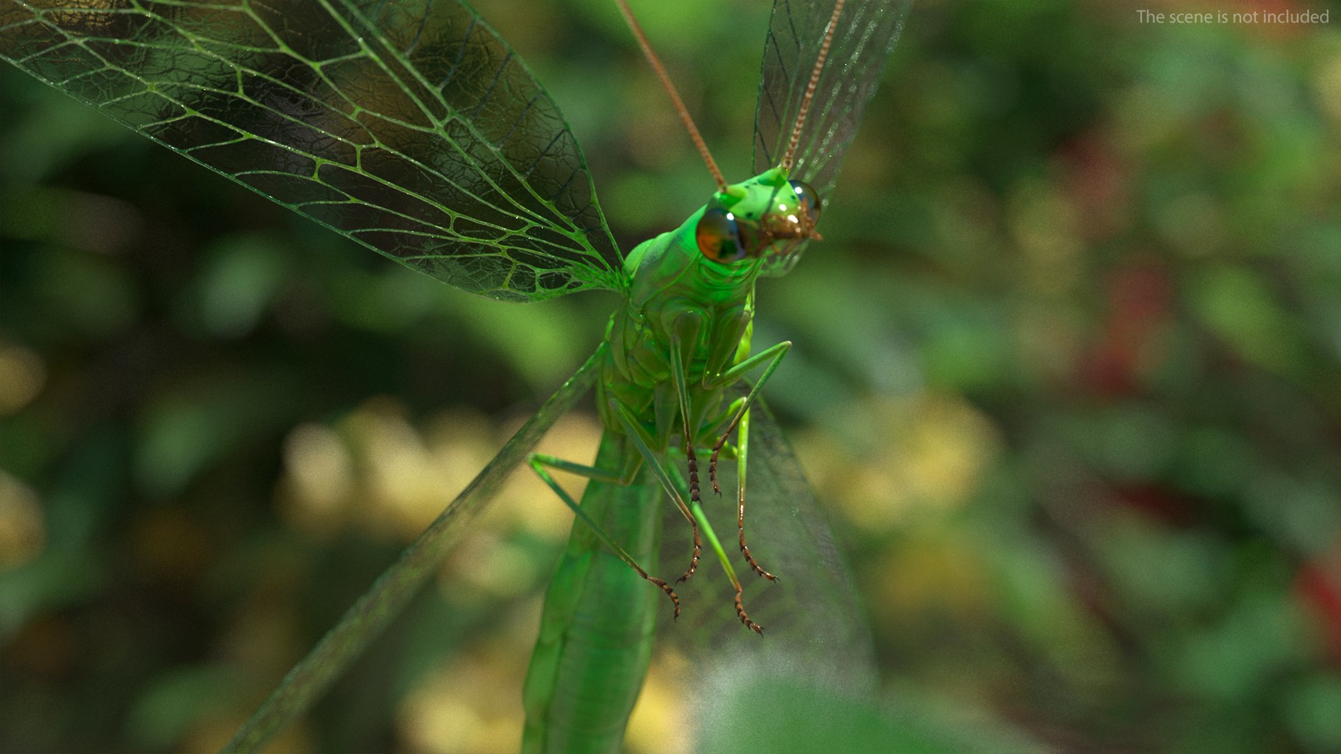 Green Lacewing Rigged For Maya 3D Model - TurboSquid 2182876