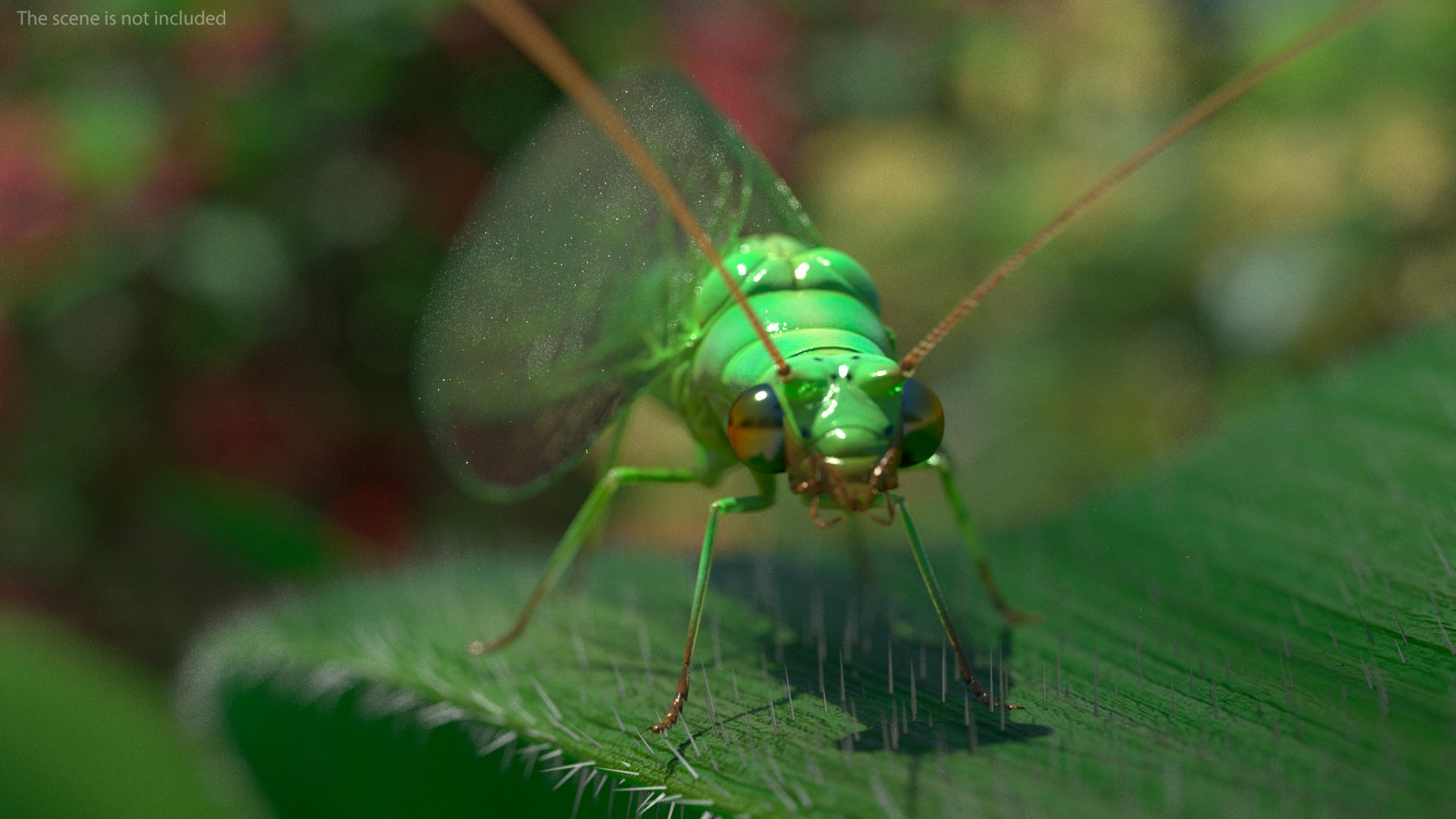 Green Lacewing Rigged For Maya 3D Model - TurboSquid 2182876