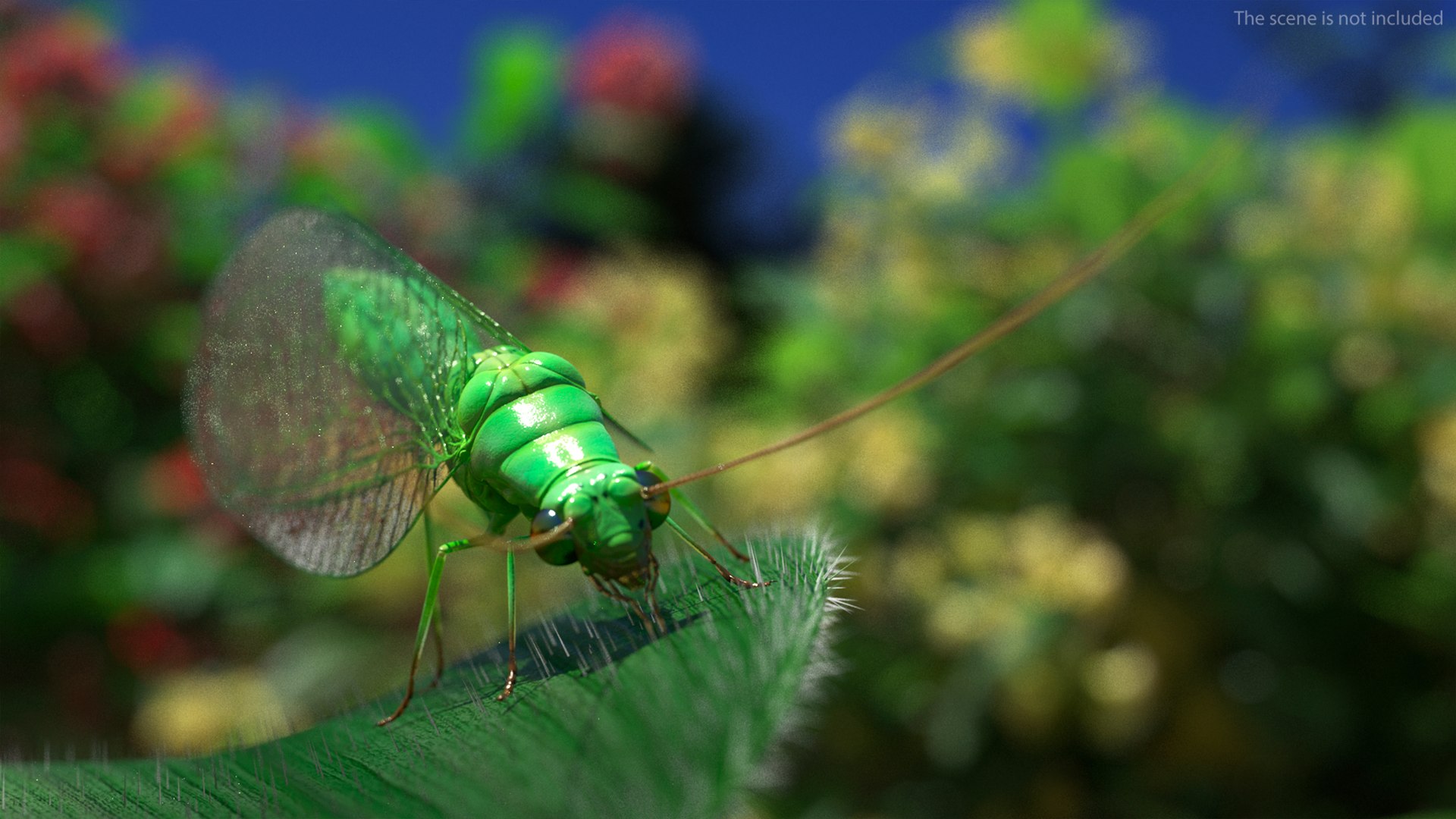 Green Lacewing Rigged For Maya 3D Model - TurboSquid 2182876