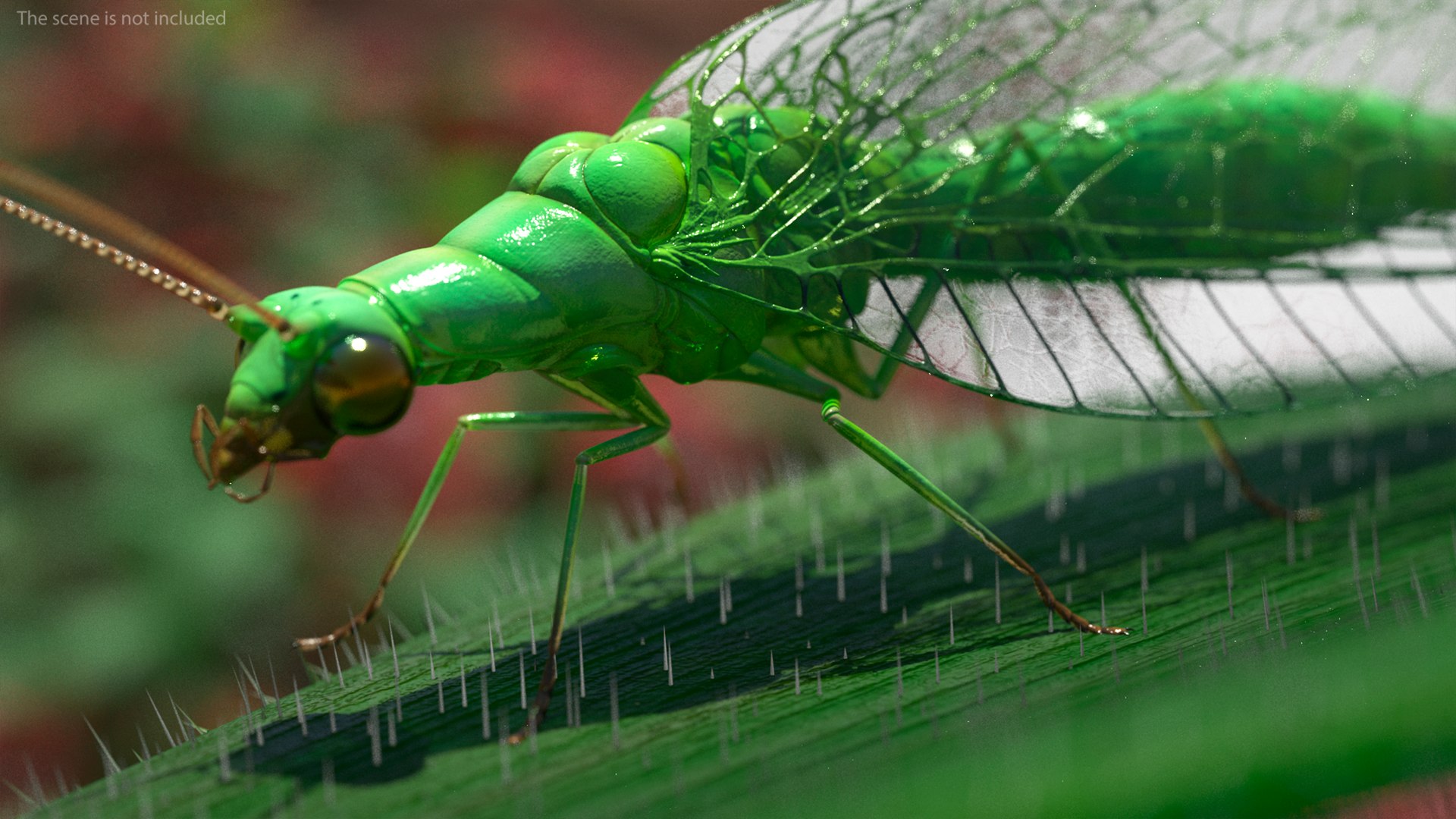 Green Lacewing Rigged For Maya 3D Model - TurboSquid 2182876