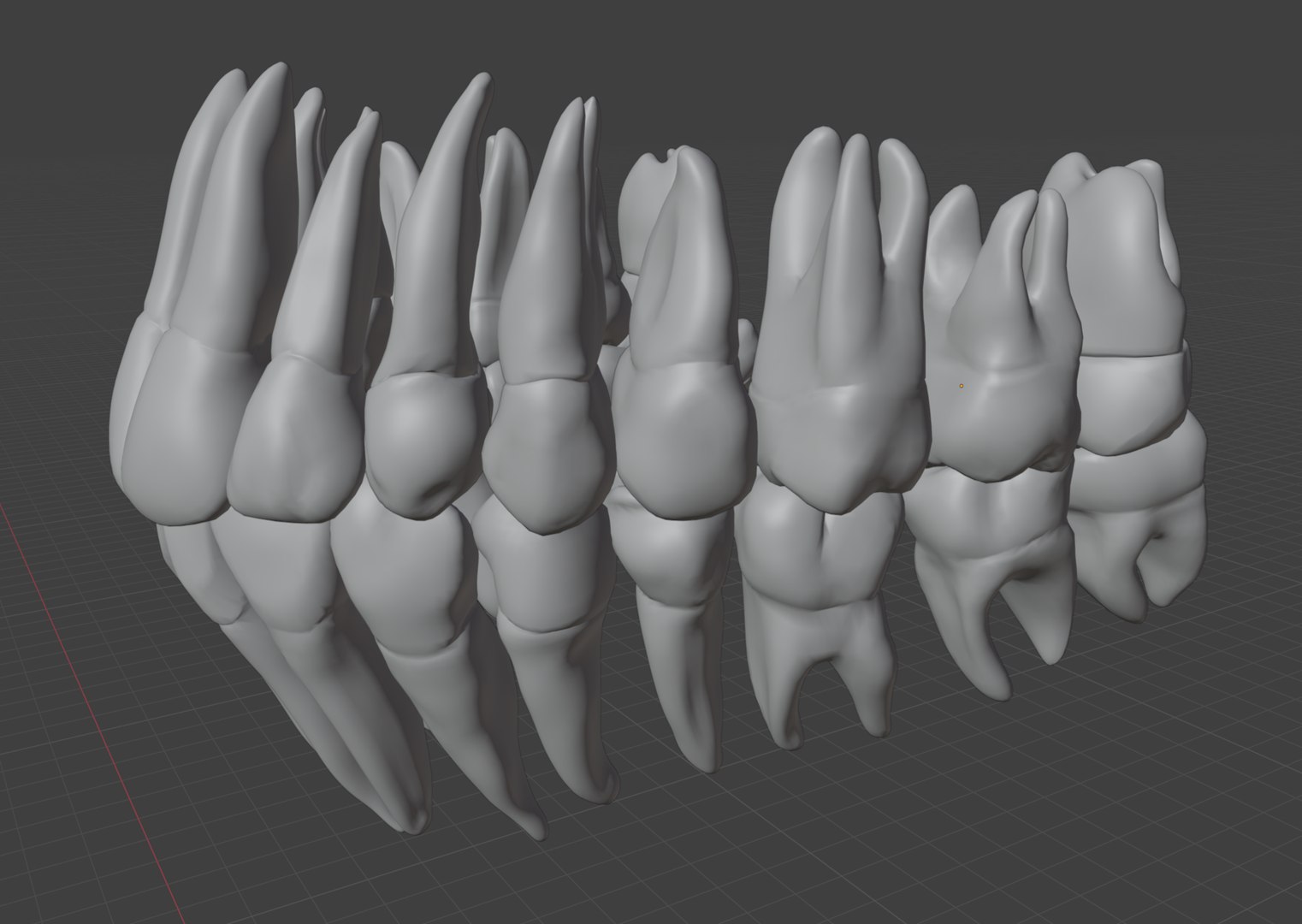 3D Model Human Dental Anatomy - TurboSquid 2290625