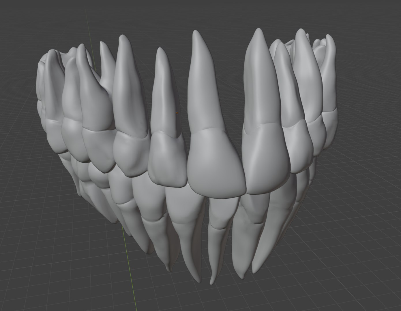 3D Model Human Dental Anatomy - TurboSquid 2290625